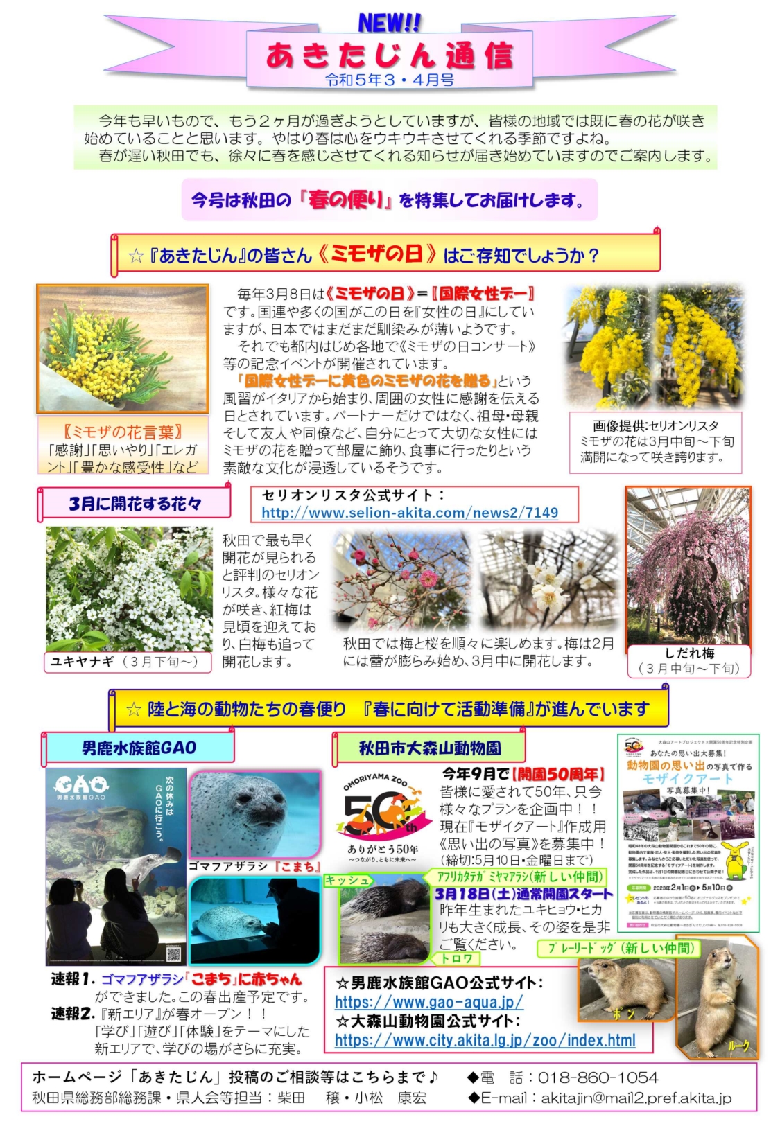 『あきたじん通信』3・4月号が完成しました！ ～総務課・交流推進員からのご案内～ | 秋田県・市町村からのお知らせ | 秋田県人会